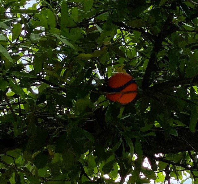 Storytelling – The Big Blue Mess